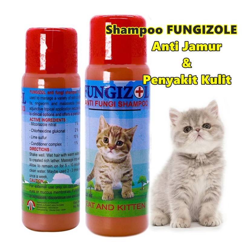 Jual SHAMPOO KUCING KITTEN DAN DEWASA ANTI JAMUR SCABIES FUNGIZOL ...