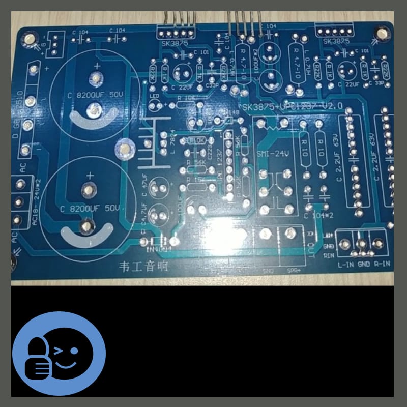Jual pcb gain clone sk3875 sk18752 stereo | Shopee Indonesia