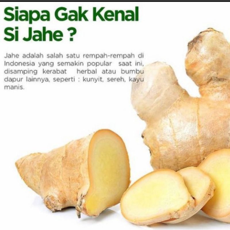 Jual JAHE PUTIH SUPER / JAHE GAJAH FRESH (1KG) | Shopee Indonesia