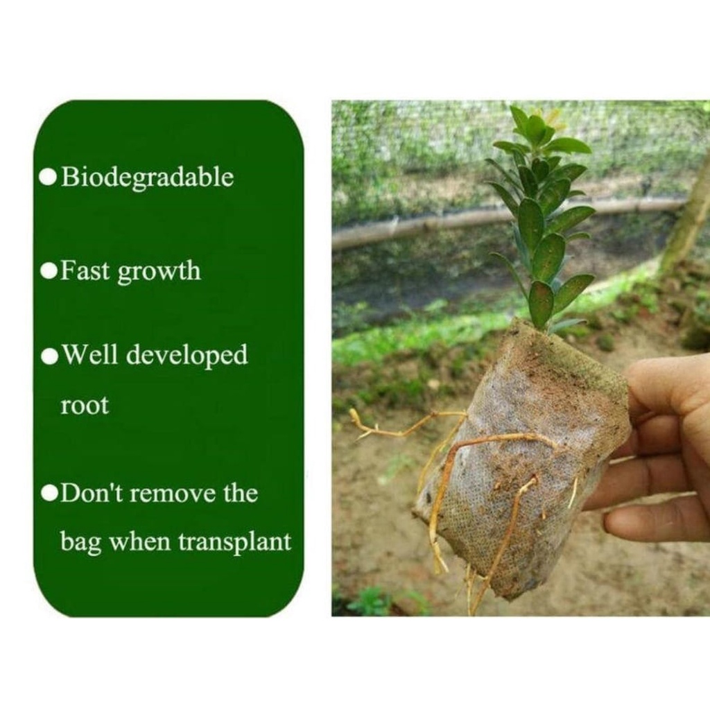 Jual Pot Biodegradable Polybag Semai Non Woven Nursery Pot Benih Bibit ...