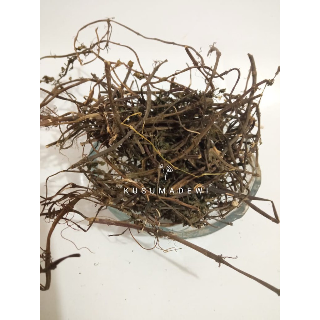 Jual Daun Mint Kering / Mentol 50 gram | Shopee Indonesia
