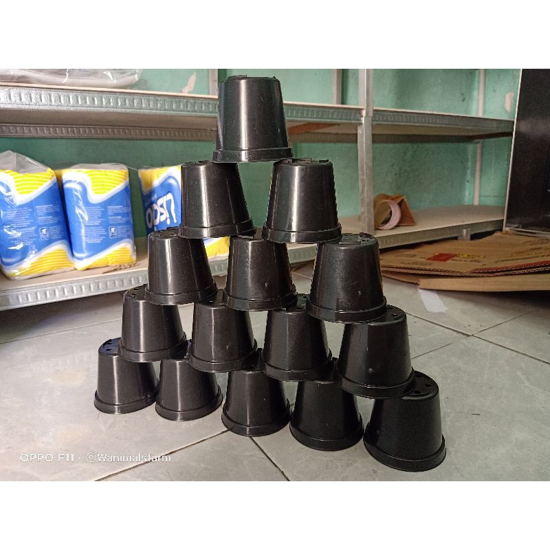 Jual POT HITAM POT KECIL POT MINI 8-12CM (BEKAS, LAYAK PAKAI) | Shopee ...