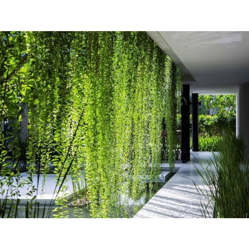 Jual Lee Kwan Yew | Shopee Indonesia