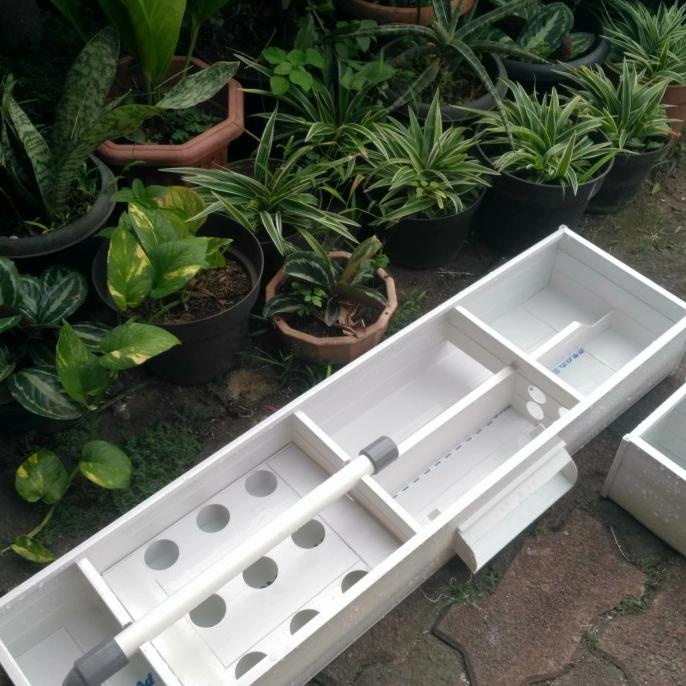 Jual Filter Talang Aquarium Jumbo Model Waterfall + Ttup Filter Talang ...
