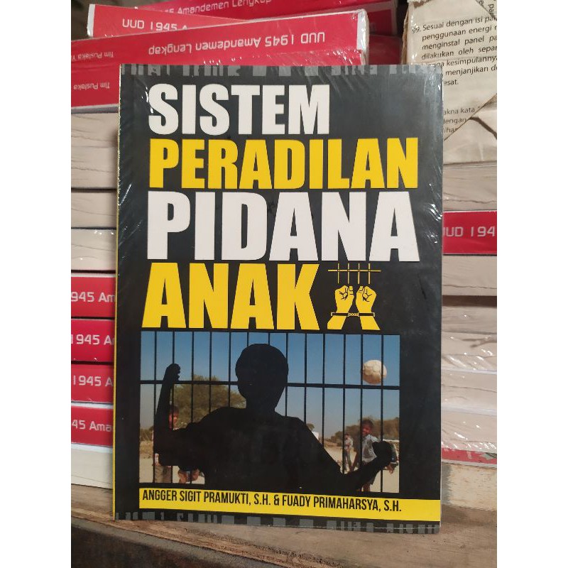 Jual Buku Sistem Peradilan Pidana Anak | Shopee Indonesia