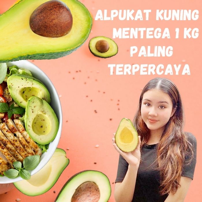 Jual ALPUKAT MENTEGA BERGARANSI ALPUKAT KUNING SEHAT 1 KG ISI 3 BUAH ...
