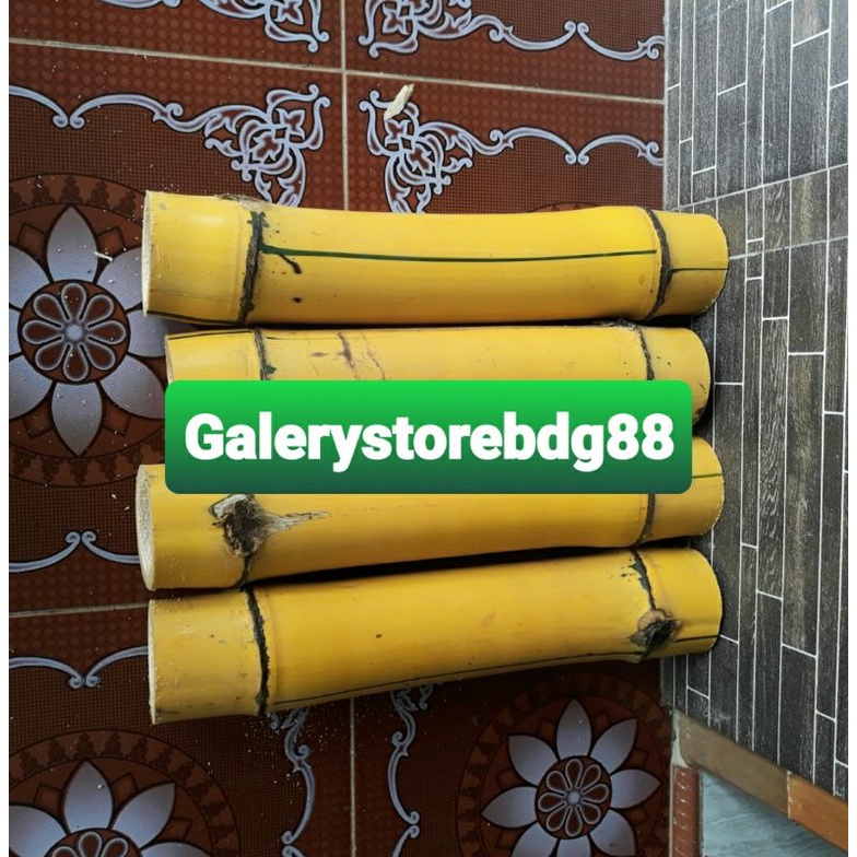 Jual Batang bambu kuning potong P 30 cm perbatang | Shopee Indonesia