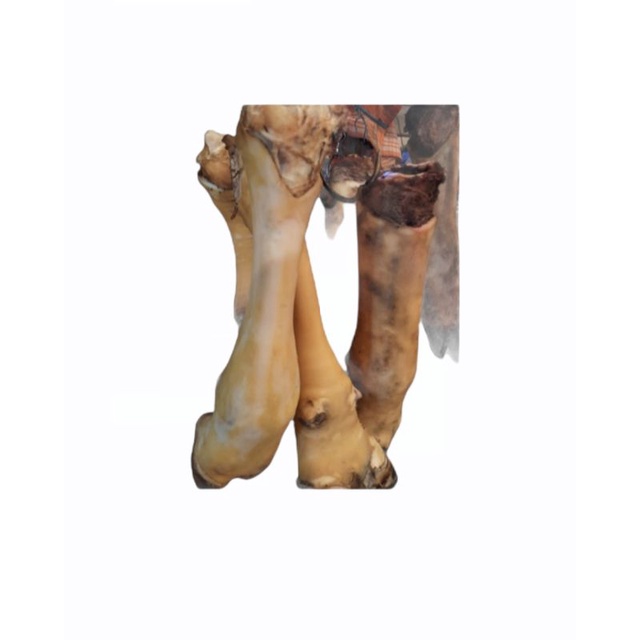 Jual kaki sapi segar 1 buah | Shopee Indonesia