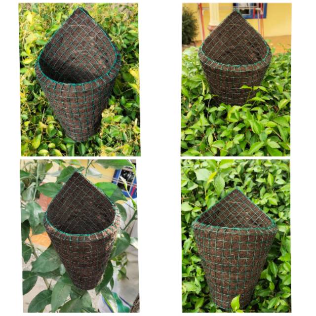 Jual Pot full ijuk hitam tempel | Shopee Indonesia