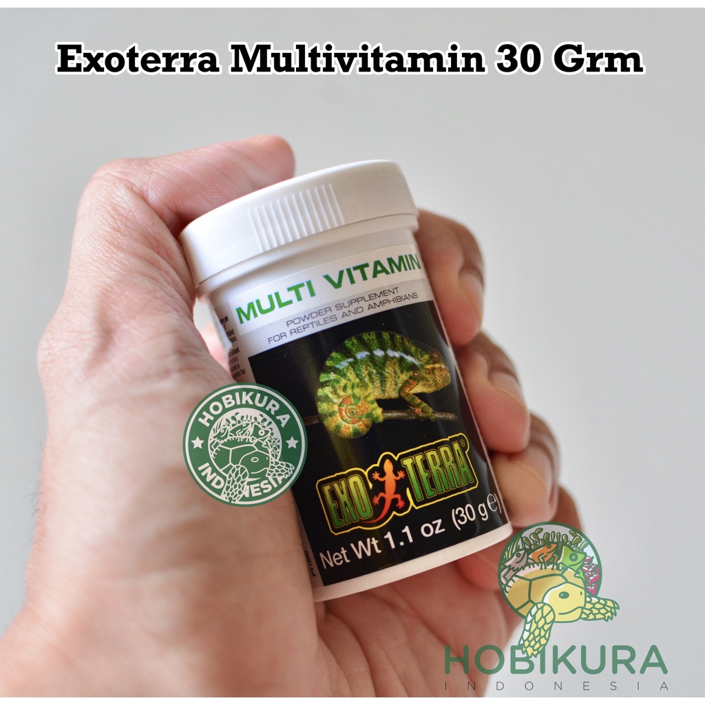 Jual Exoterra Vitamin Multivitamin Reptile 30 gr Torto Kura Kodok ...