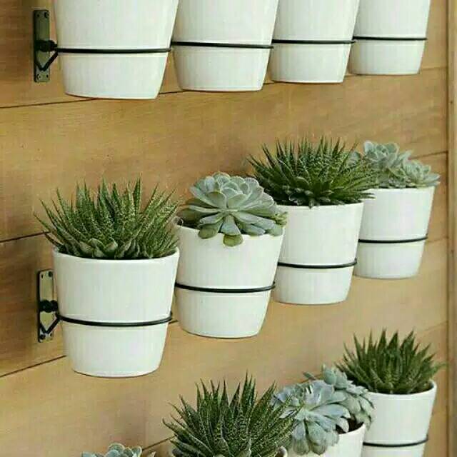 Jual STANDING POT DINDING | Shopee Indonesia