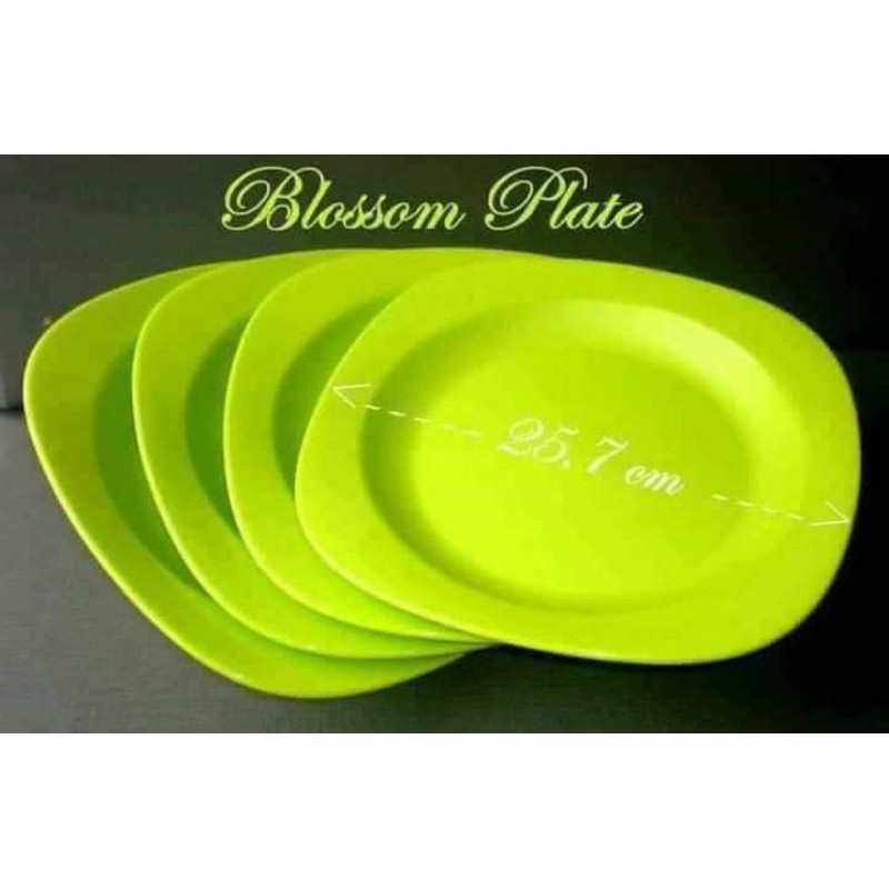 Jual piring Tupperware untuk makan 4pcs - bulat dan petak ...