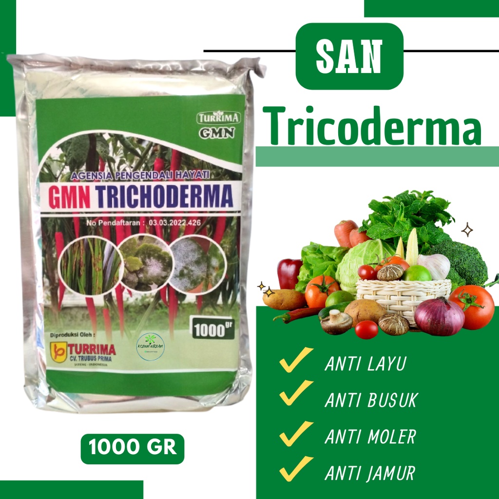 Jual Tricoderma Pupuk Sawit Yang Bagus, GMN Trichoderma Agensia ...