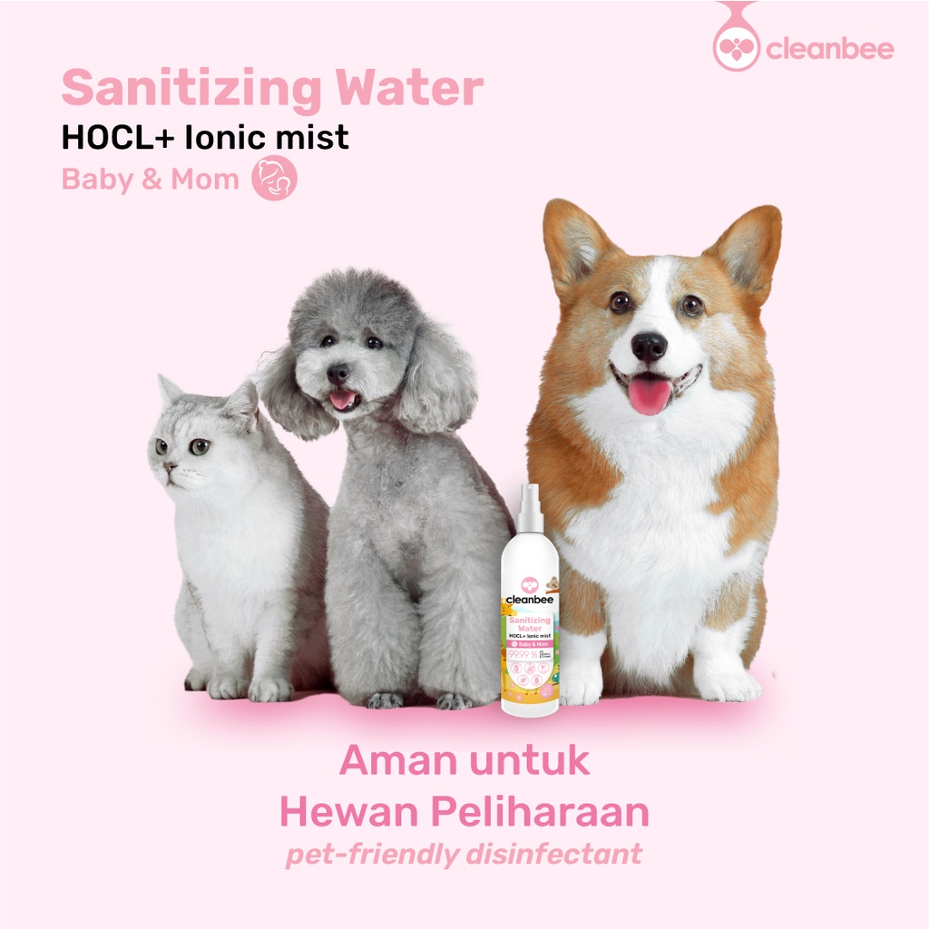 Jual Cleanbee HOCL Food Grade Sanitizing Water Hypoallergenic for Baby ...