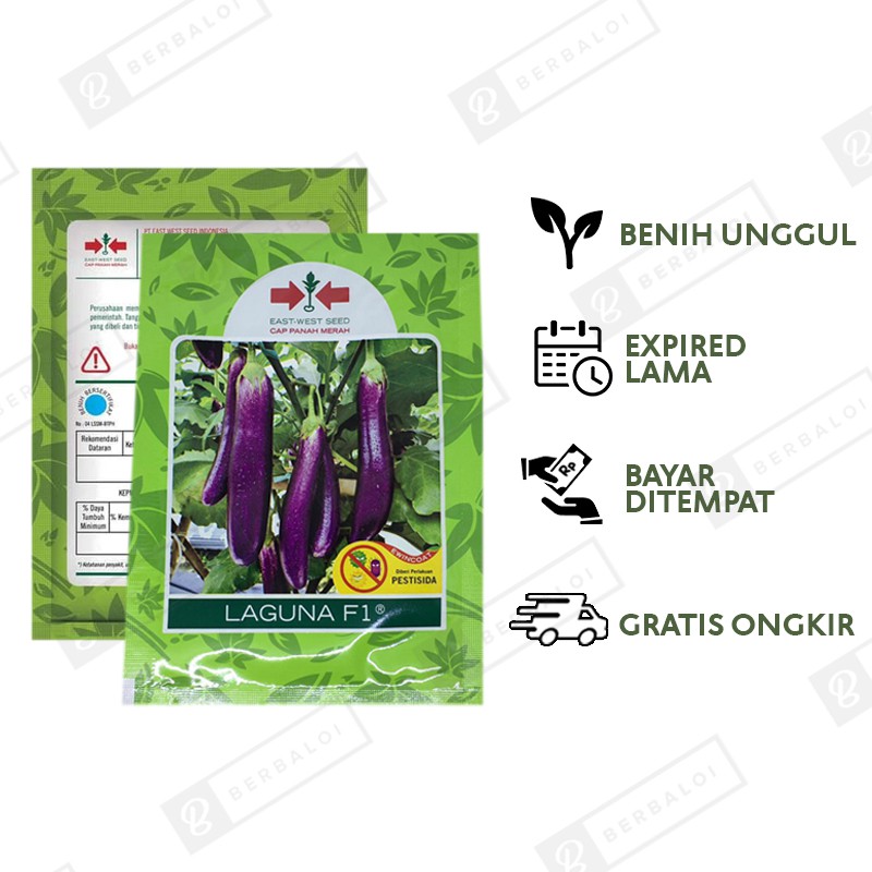 Jual COD Laguna F1 Benih Terong Ungu Dataran Rendah-menengah 1100 Butir | Shopee Indonesia