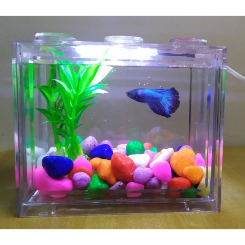 Jual aquarium mini kecil susun lampu LED ikan hias cupang piranha ...