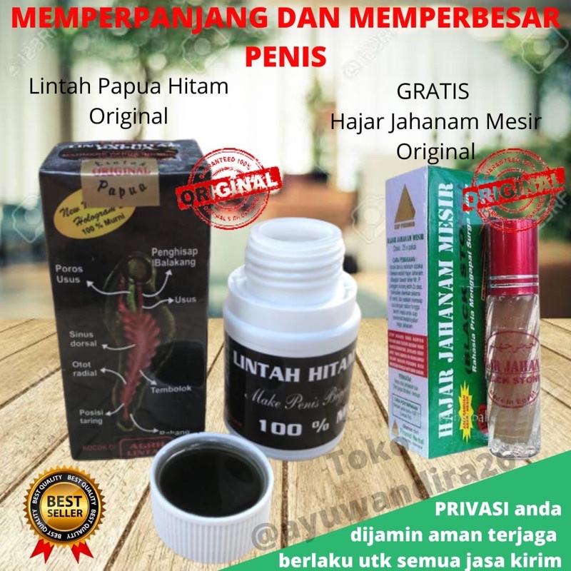 Jual Minyak Lintah Papua Original Sehat Sentosa 60 ml Hajar Jahanam | Shopee Indonesia