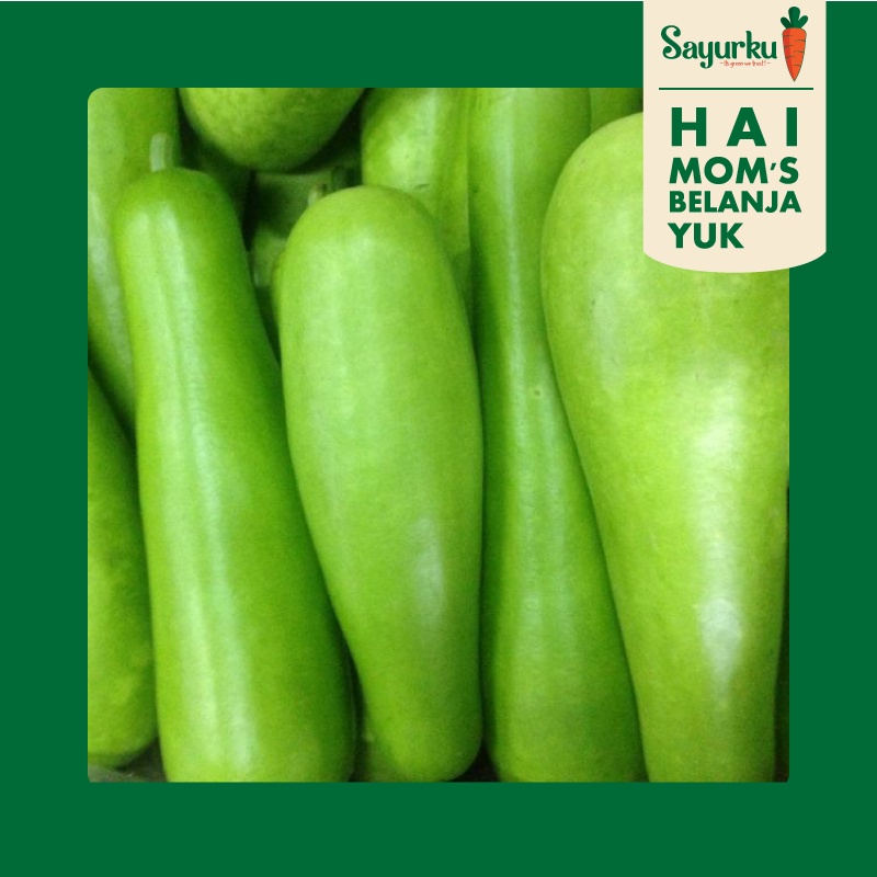 Jual Labu Air 1 Pcs | Shopee Indonesia