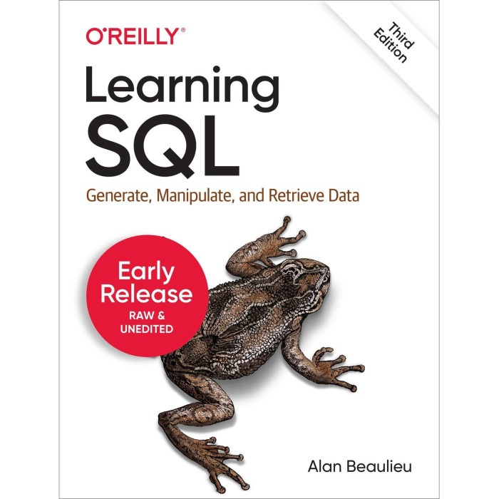 Jual Learning Sql Master Sql Fundamentals Alan Beaulieu Shopee Indonesia 