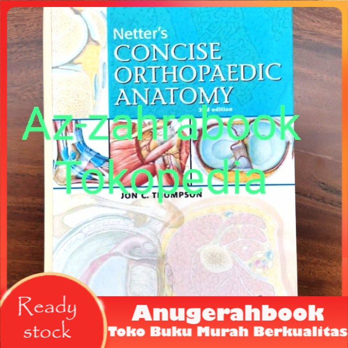Jual PROMO Netter's Concise Orthopedic Anatomy | Shopee Indonesia