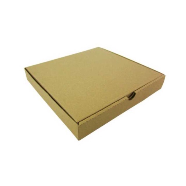 Jual 20x20x5 cm Box kotak kardus kemasan pizza karton diecut kardus dus ...