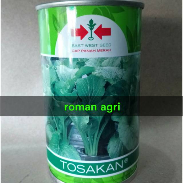 Jual Benih Sawi TOSAKAN Kaleng isi 100 gram Sawi Bakso | Shopee Indonesia