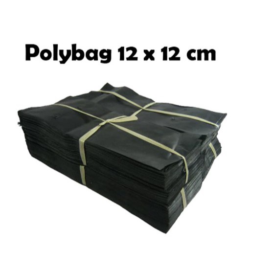 Jual Plastik Polybag 12 x 12 cm | Shopee Indonesia
