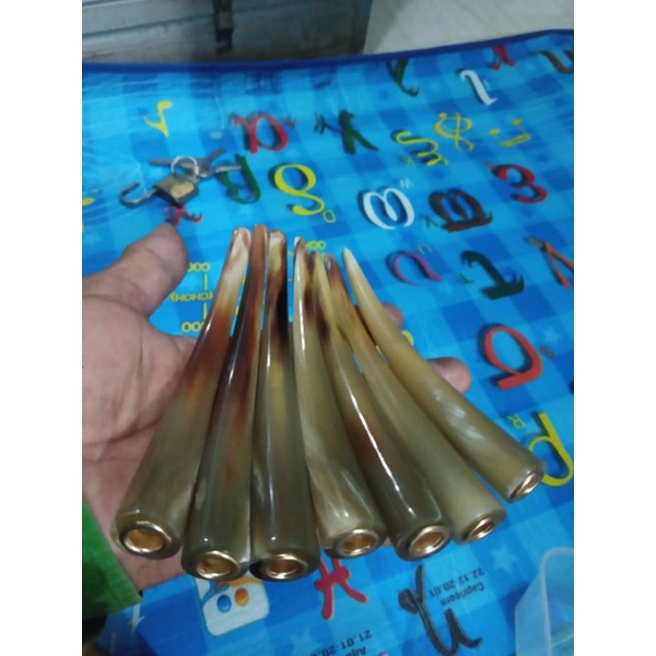 Jual ONCE PIPA TANDUK KERBAU BULE SUPER | Shopee Indonesia