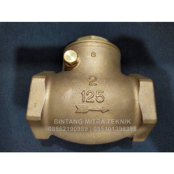Jual SWING CHECK VALVE TOYO 2" 125 FIG 234 | Shopee Indonesia