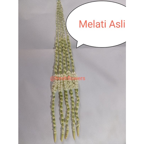 Jual ronce roncean melati asli minimalis pernikahan tibododo bukan ...