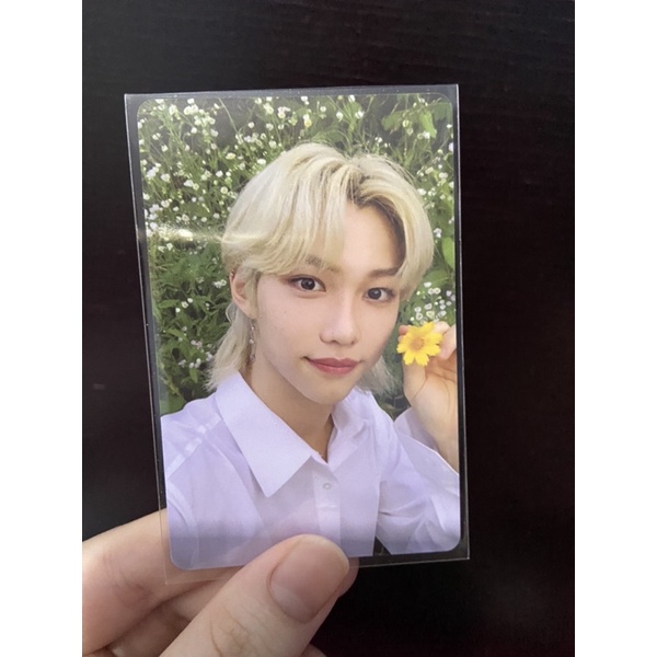Jual Wts Photocard Felix lim Noeasy // Original | Shopee Indonesia