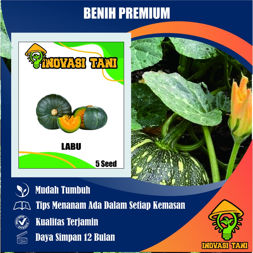 Jual BENIH BIBIT BIJI SAYURAN LABU SUPER TANAMAN UNGGUL SAYUR | Shopee ...