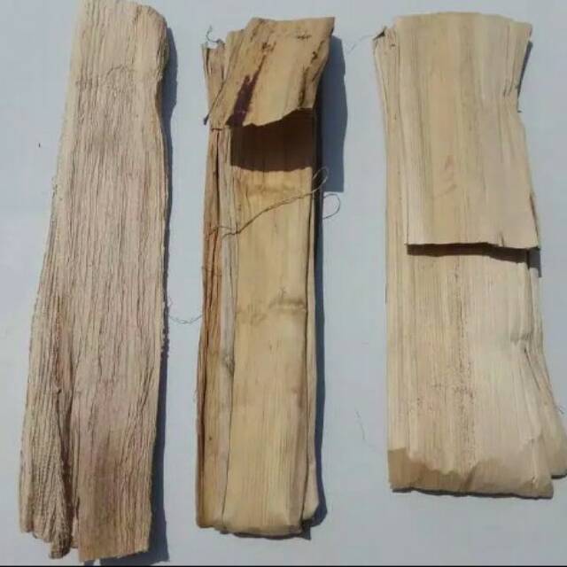 Jual Gedebong pisang/batang pisang/pelepah pisang | Shopee Indonesia