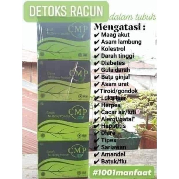 Jual CMP 1 g | Shopee Indonesia