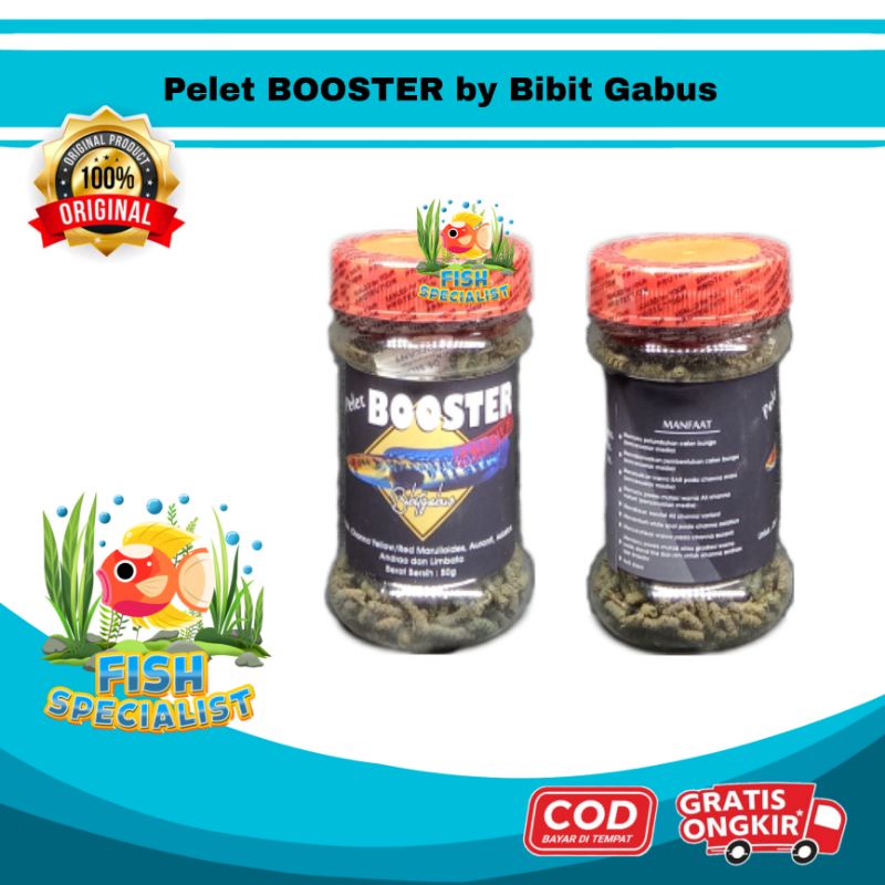 Jual Pelet BOOSTER by Bibit Gabus - Pakan Ikan Channa Maru Red Yellow ...