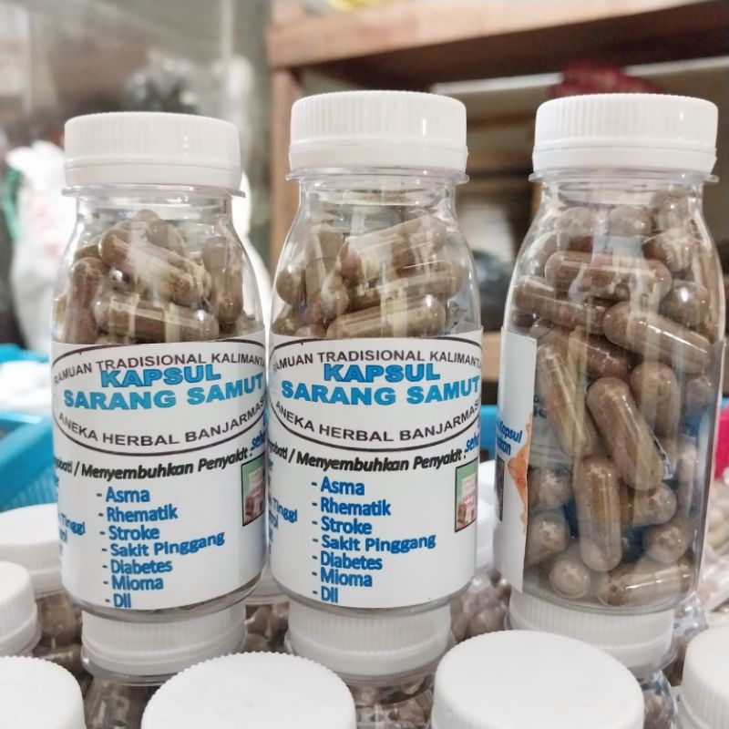 Jual KAPSUL SARANG SEMUT,RAMUAN TRADITIONAL KHAS KALIMANTAN,ASLI HERBAL ...