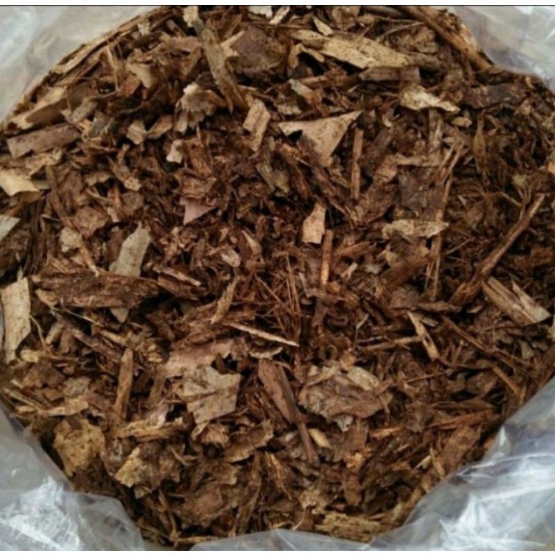Jual humus daun bambu kering organik 1kg | Shopee Indonesia