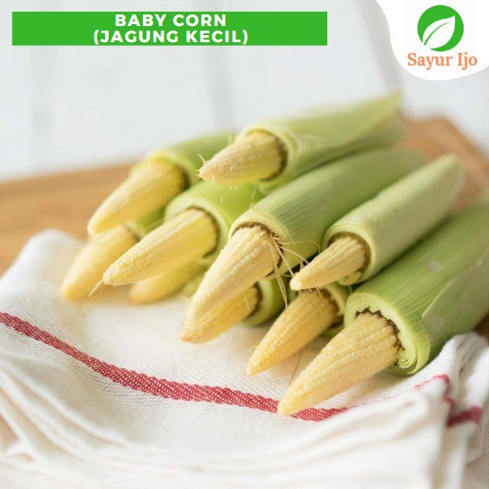 Jual Baby Corn Kulit 480 - 500 Gram Fresh Jagung Muda Kecil Putren ...