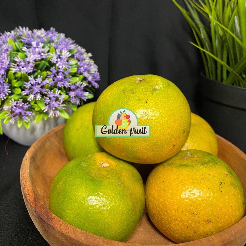 Jual JERUK MEDAN | Shopee Indonesia