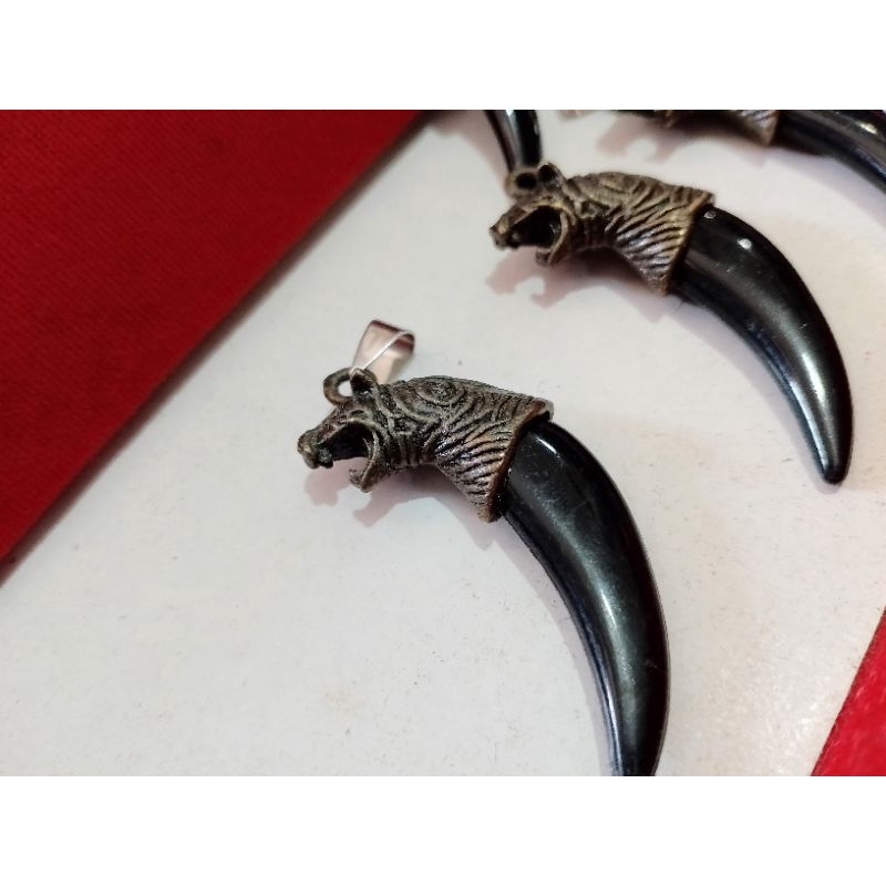 Jual Kalung Tali Liontin Taring Harimau Import - Kalung Import Taring ...