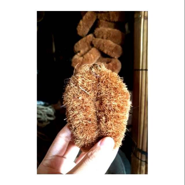 Jual Coco Brush (Natural Multipurpose coconut fiber brush) | Shopee ...