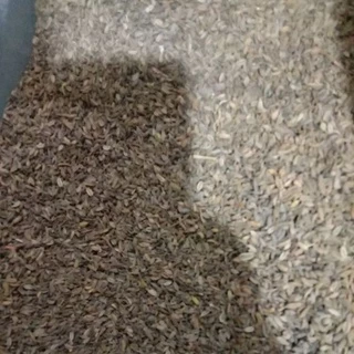 Jual Bahan Jamu Terlengkap & Harga Terbaru Juni 2024 | Shopee Indonesia