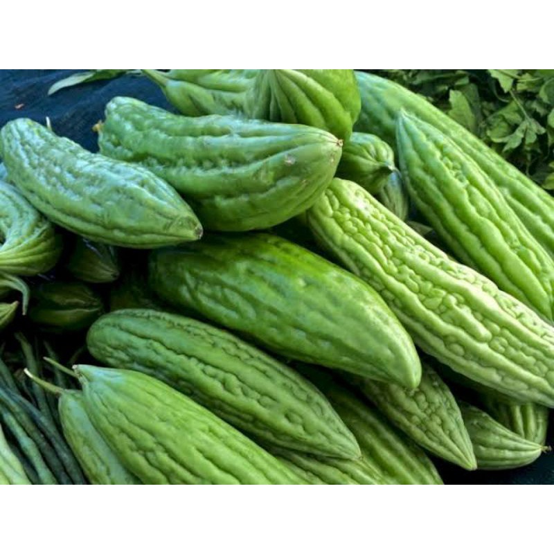 Jual Sayur Pare | Shopee Indonesia