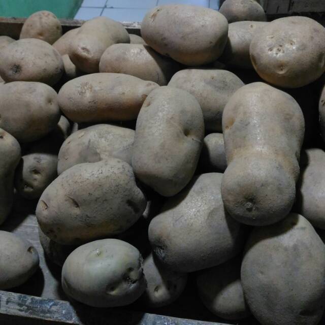 Jual Kentang super 1kg | Shopee Indonesia