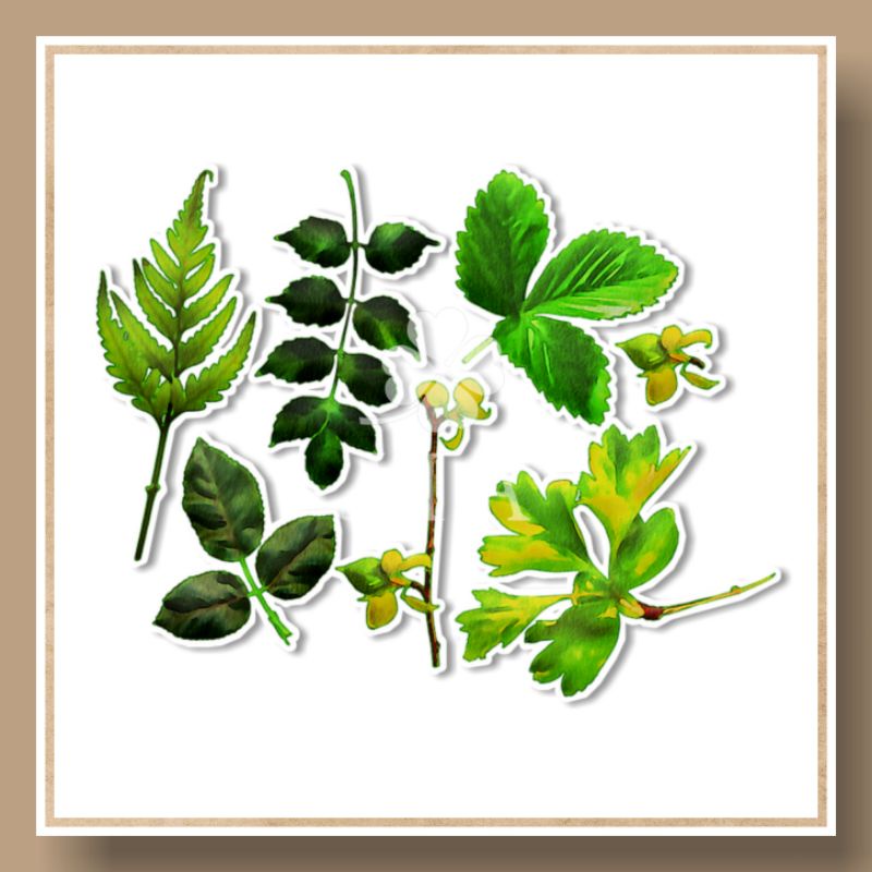 Jual jiastore__ Sticker Daun Aesthetic / Green Aesthetic / Sticker ...