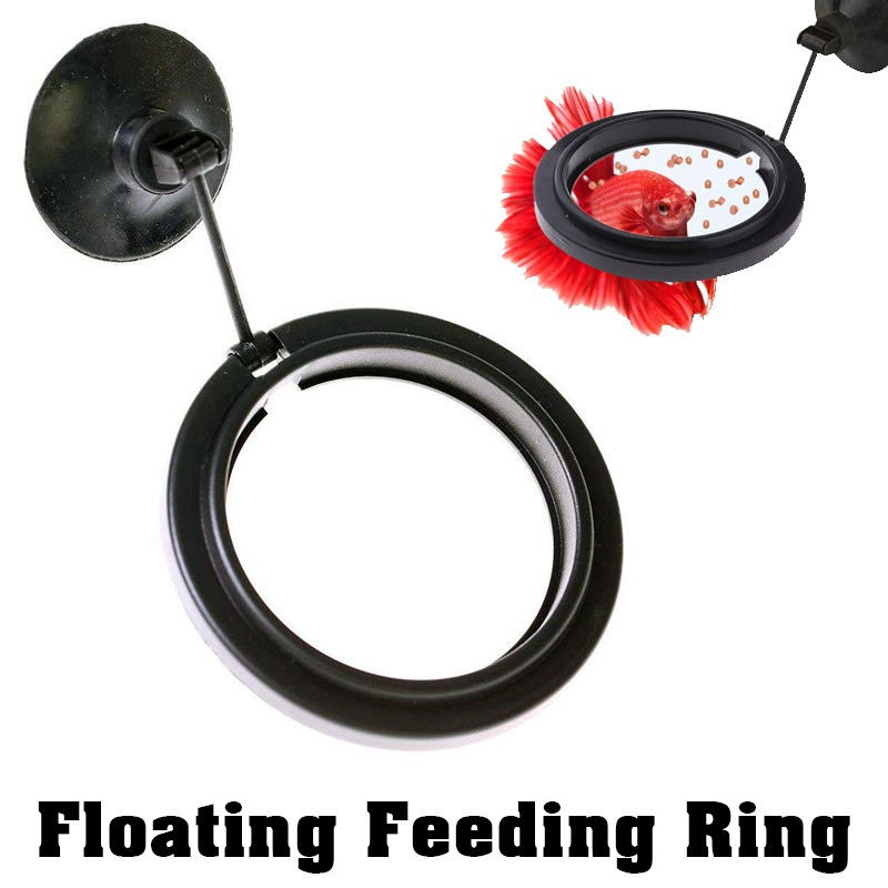Jual Aquarium Floating Feeding Ring Feed Tempat Makan Ikan Terapung ...