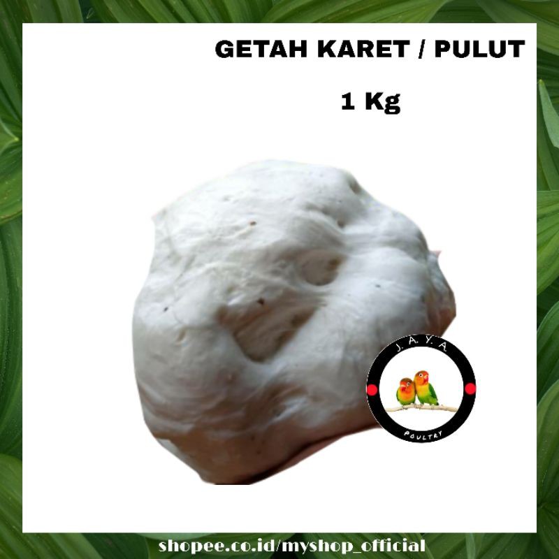 Jual getah karet pulut 1 kg | Shopee Indonesia