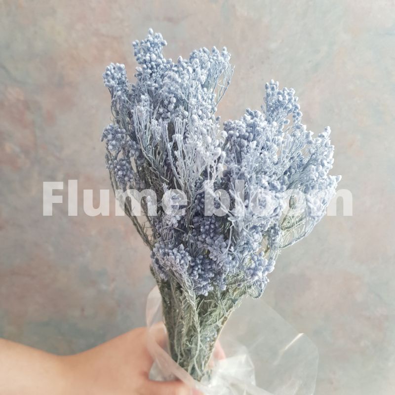 Jual Rice Flower 1(Bunch) | Shopee Indonesia