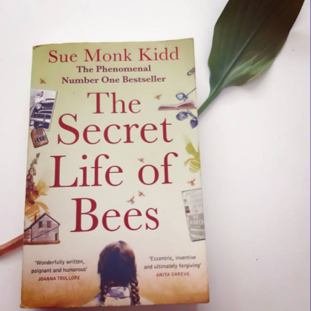 Jual Buku novel import bekas terbaru bahasa inggris original the secret ...