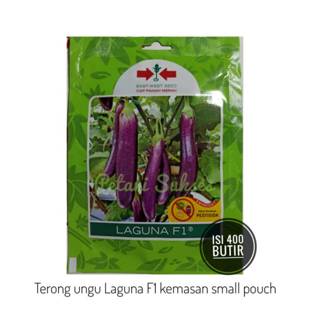 Jual (SP 400 butir) Bibit benih sayuran buah TERONG UNGU LAGUNA 400S SP ... Jual (SP 400 butir) Bibit benih sayuran buah TERONG UNGU LAGUNA 400S SP ...